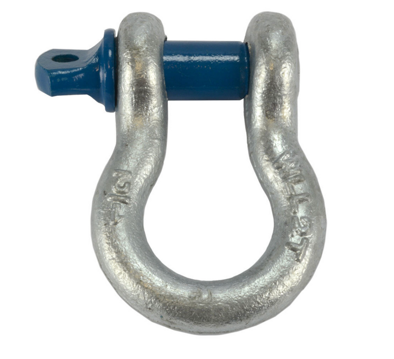US Type High Tensile Forged G209 Bow Shackle with Screw Pin/D Ring Bow ...